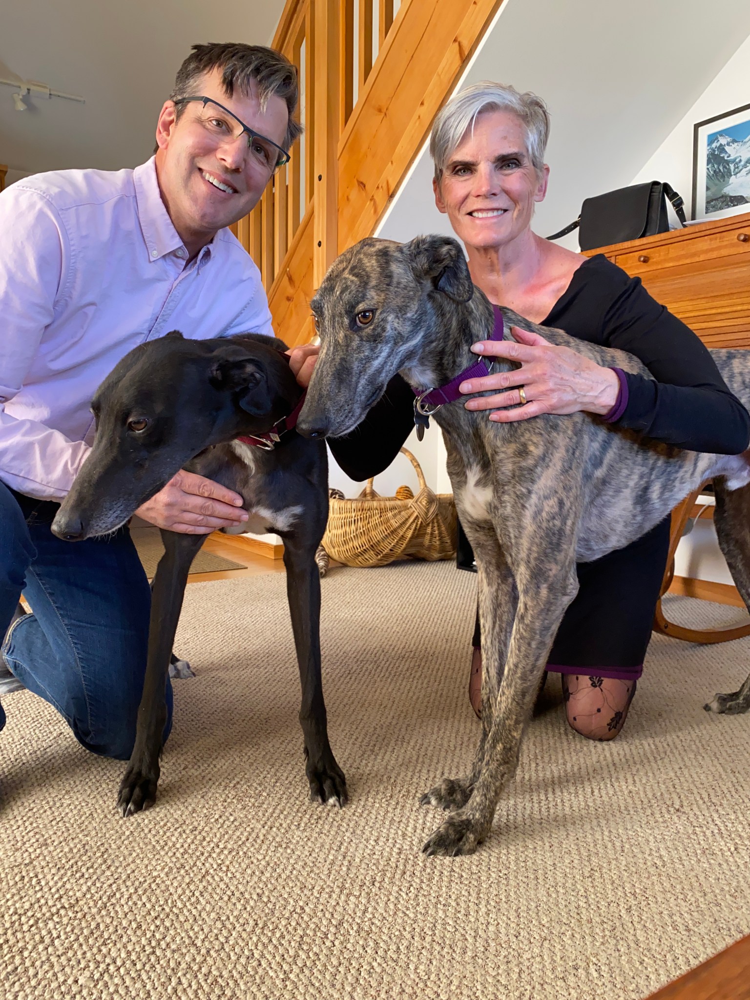 Very Important Dog Days | The Dog Blog